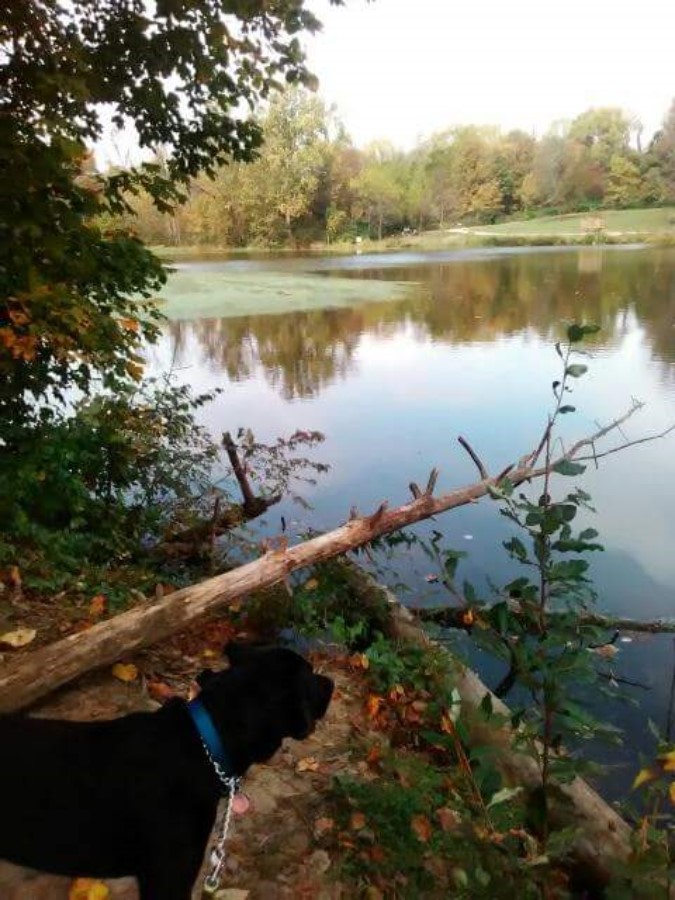 Windows-Photo-Viewer-Wallpaper – Hendricks County Parks & Recreation